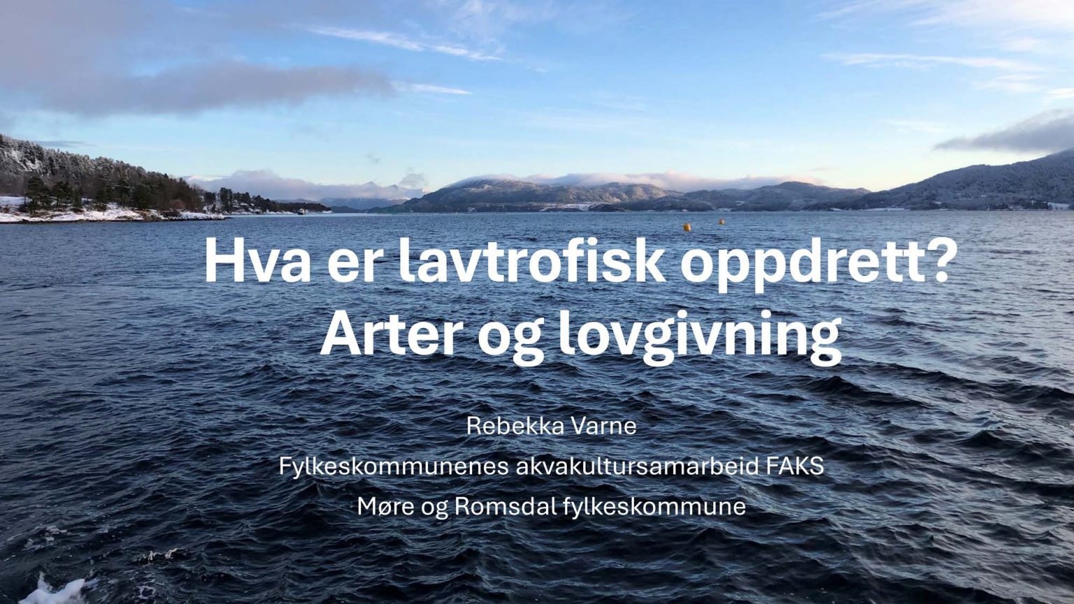 Oslofjordens Friluftsråd - Kan oppdrett av blåskjell, tare og tunikater ...