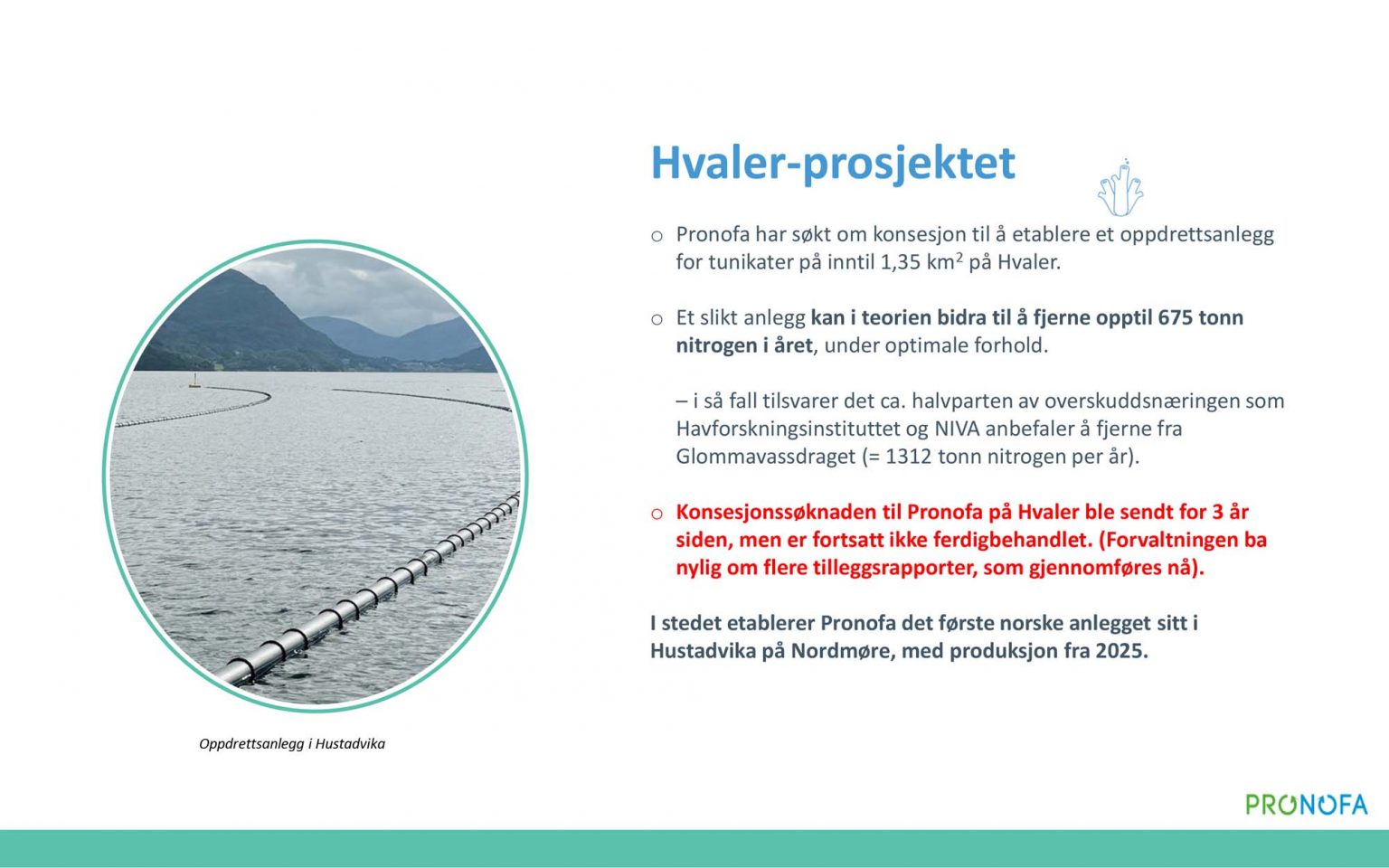 Oslofjordens Friluftsråd - Kan oppdrett av blåskjell, tare og tunikater ...